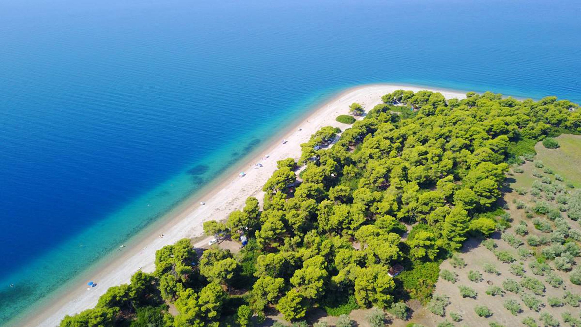 Κοντινές Παραλίες Ξενοδοχείο | Ενοικιαζόμενα Δωμάτια - Ροβιές Ευβοίας ...